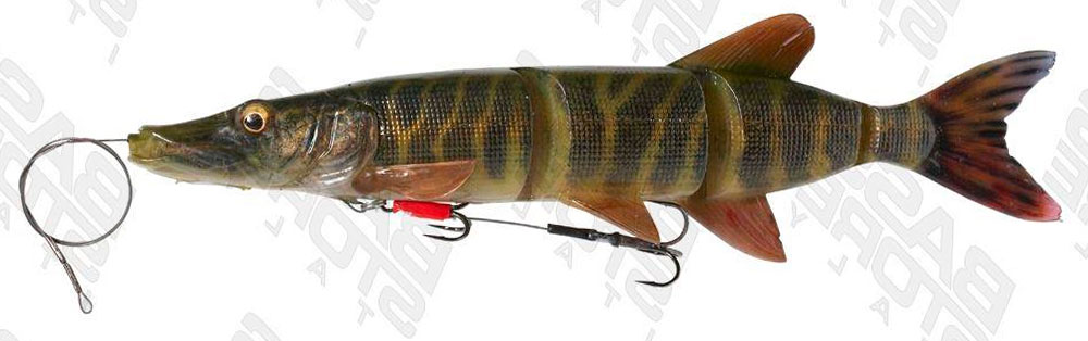Savage Gear 4D Line Thru Pike - Bass Store Italy: Über 50.000 ...